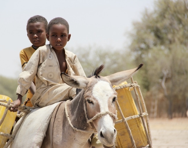 Better Aid for Chadian Youth – Avocats Sans Frontières